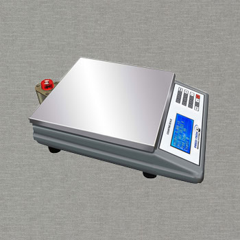 Static Check Weighing Scale System, Check Weigher, Highly Accurate In ...